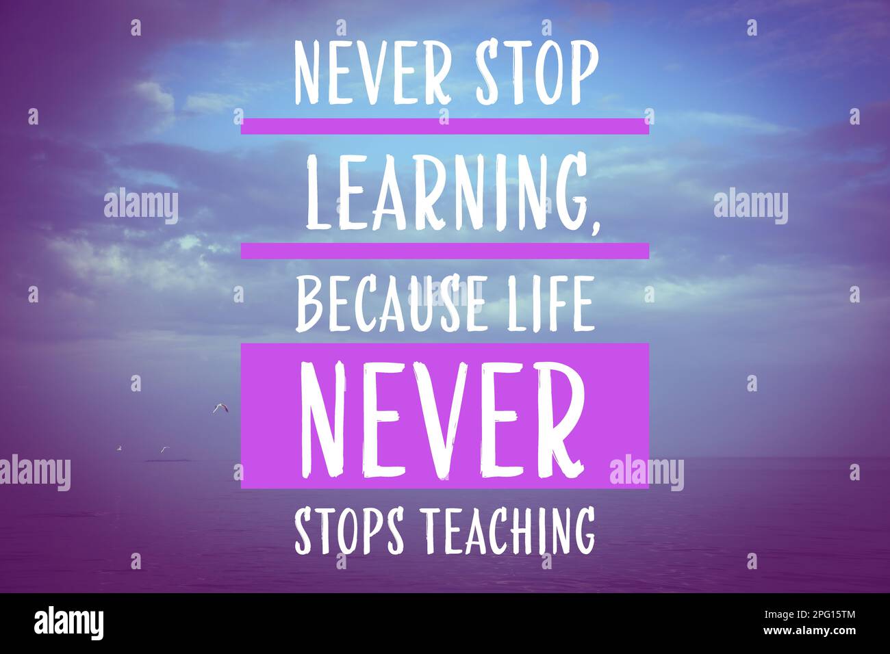 Never Stop Learning Sto