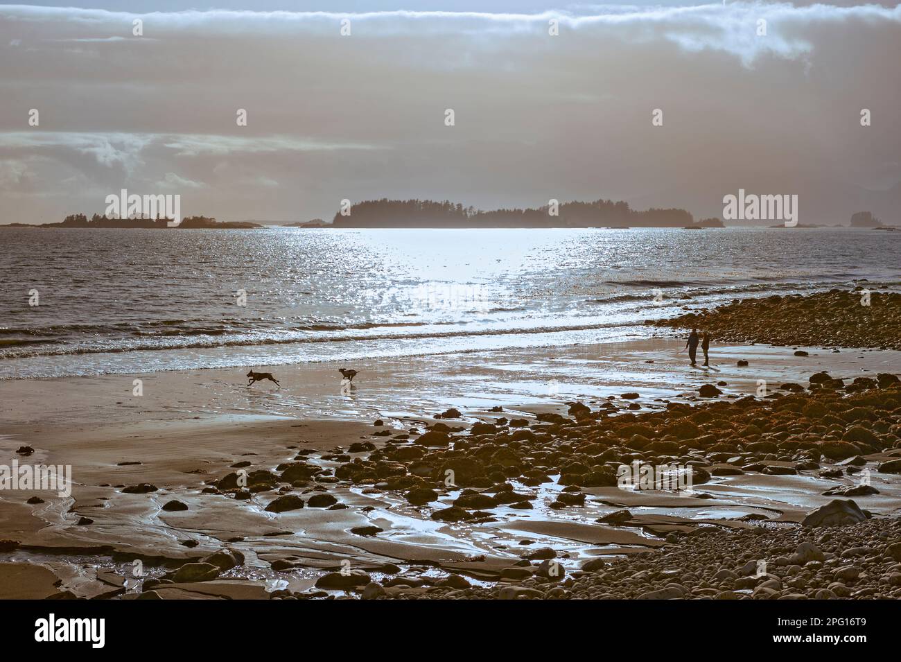 Two people walking and two dogs running along Sandy Beach in Sitka ...