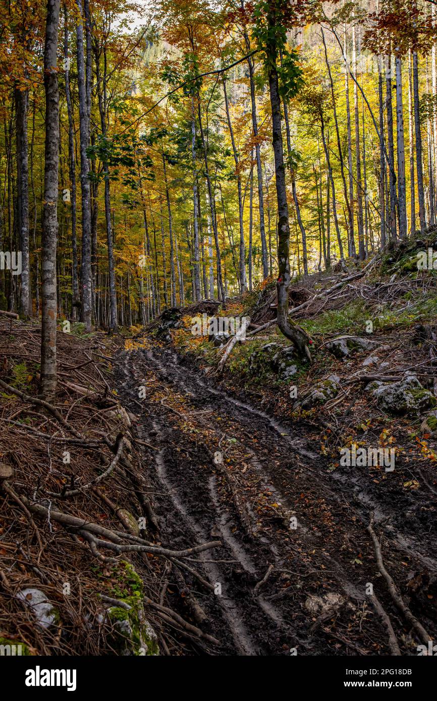 Mountain path in high mountains Stock Photo - Alamy