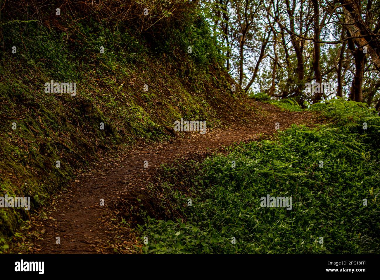 Mountain path in high mountains Stock Photo - Alamy