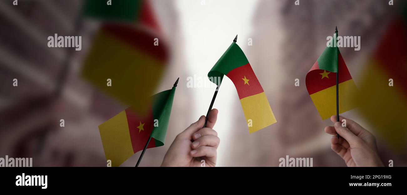 A group of people holding small flags of the Cameroon in their hands ...