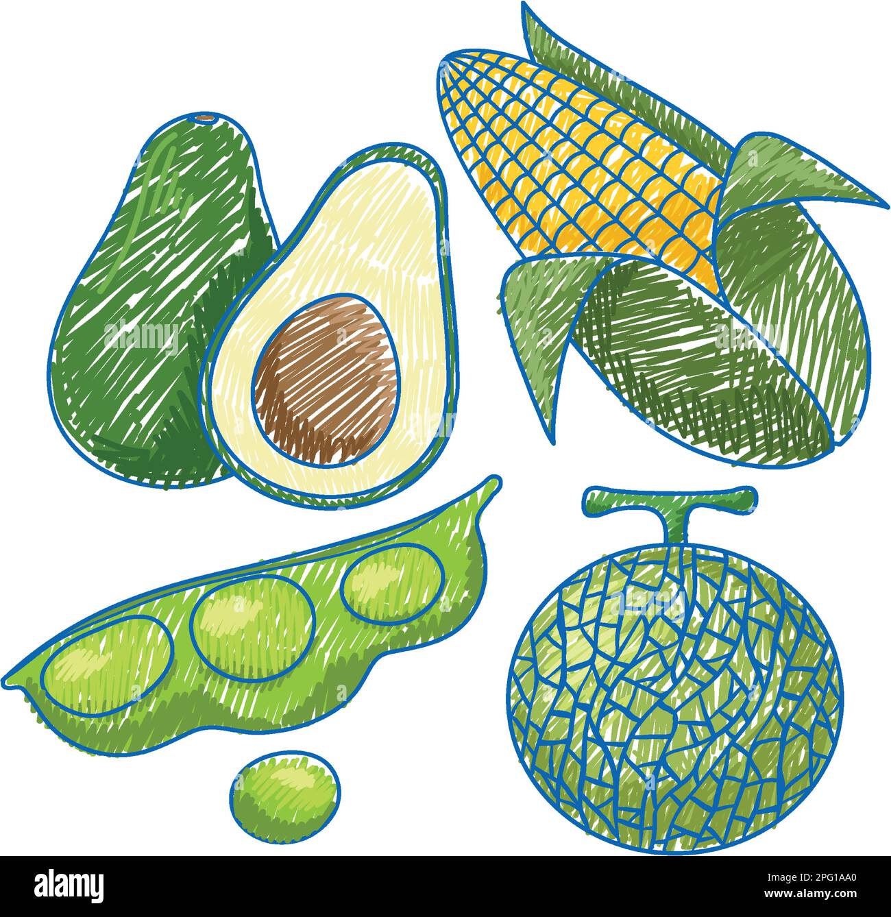 Green vegetables in Pencil Colour Sketch Simple Style illustration ...