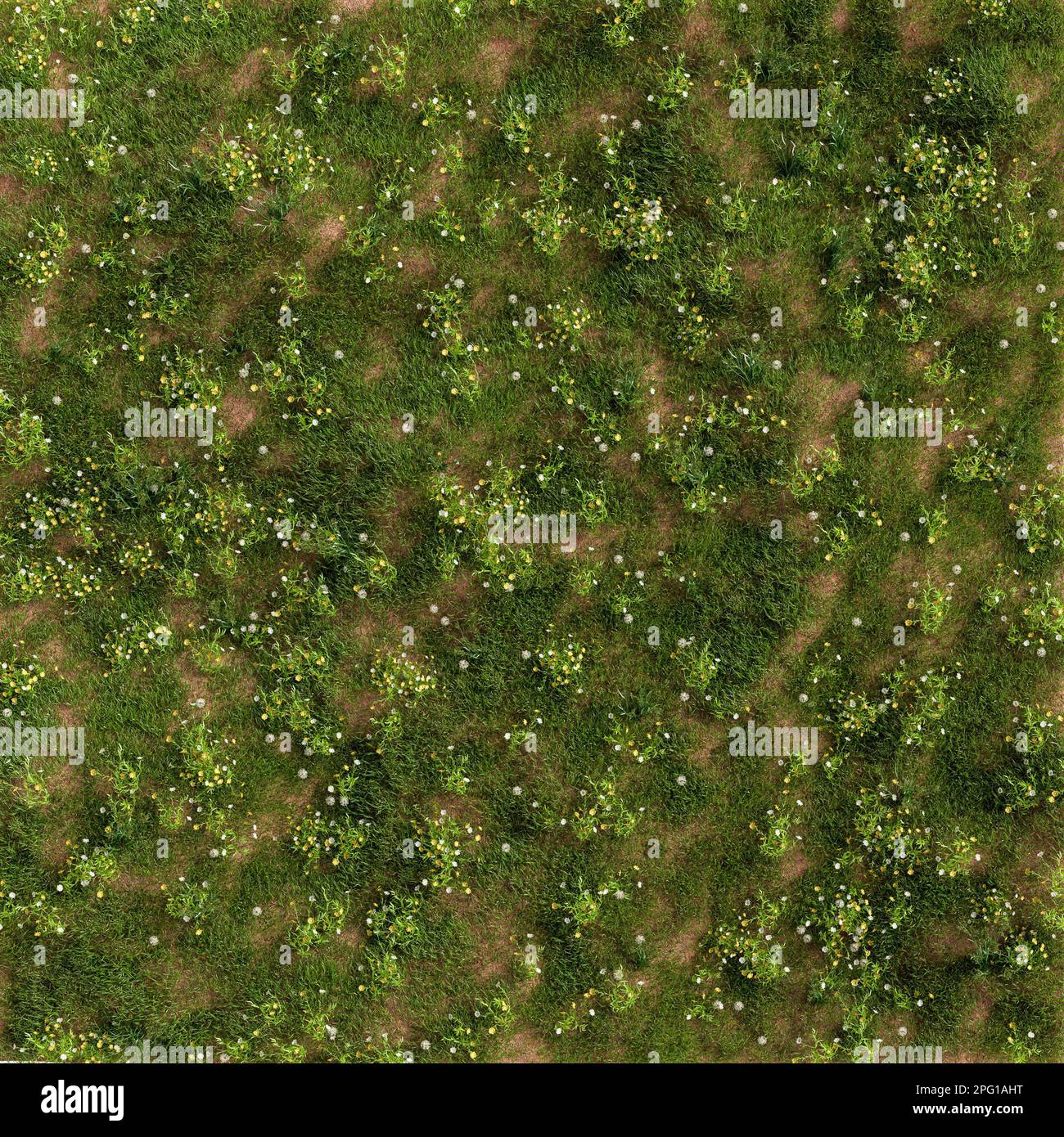 3d illustration of grass texture isolated on white background Stock ...