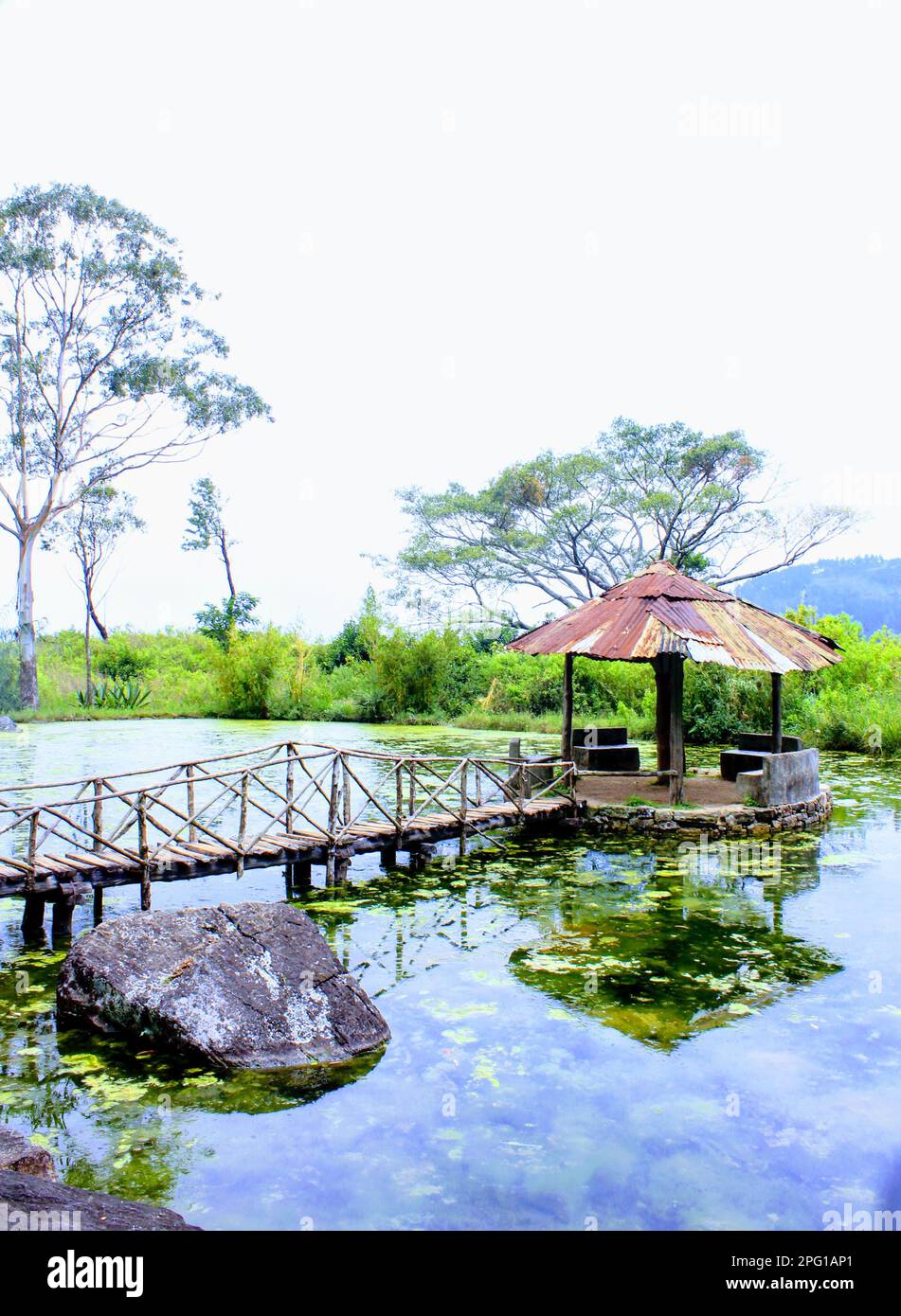 Lost in the tranquil beauty of Loolkadura, Sri Lanka - a stunning pond ...