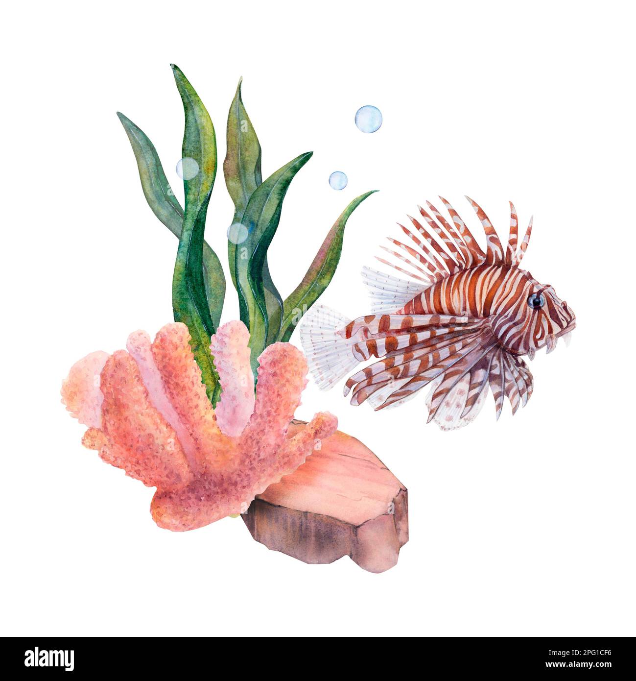 Smelly Fish Clipart Lionfish