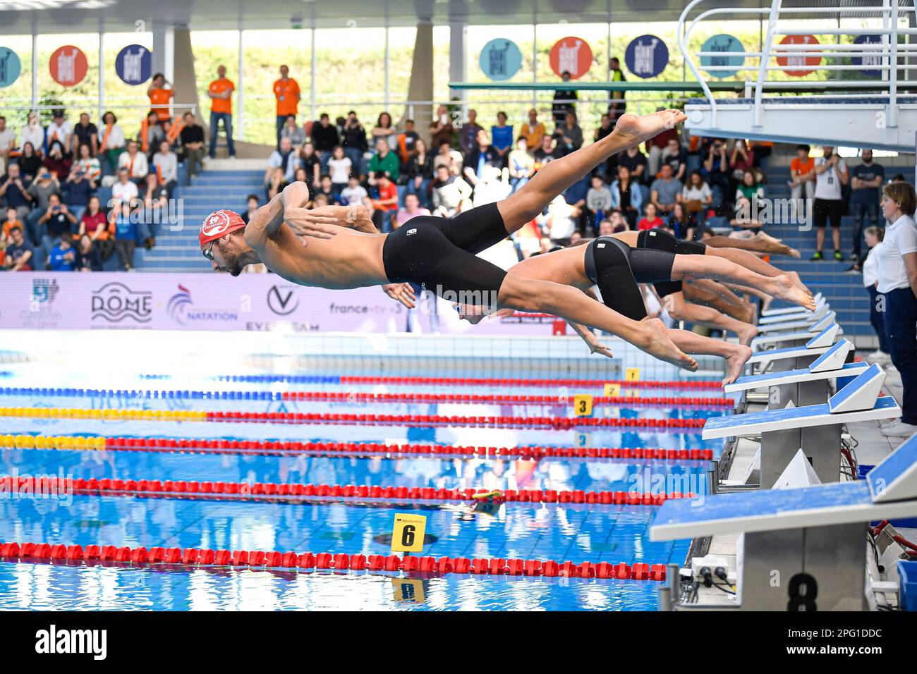 Paris, France. 19th Mar, 2023. Illustration shows swimmer dive during a ...