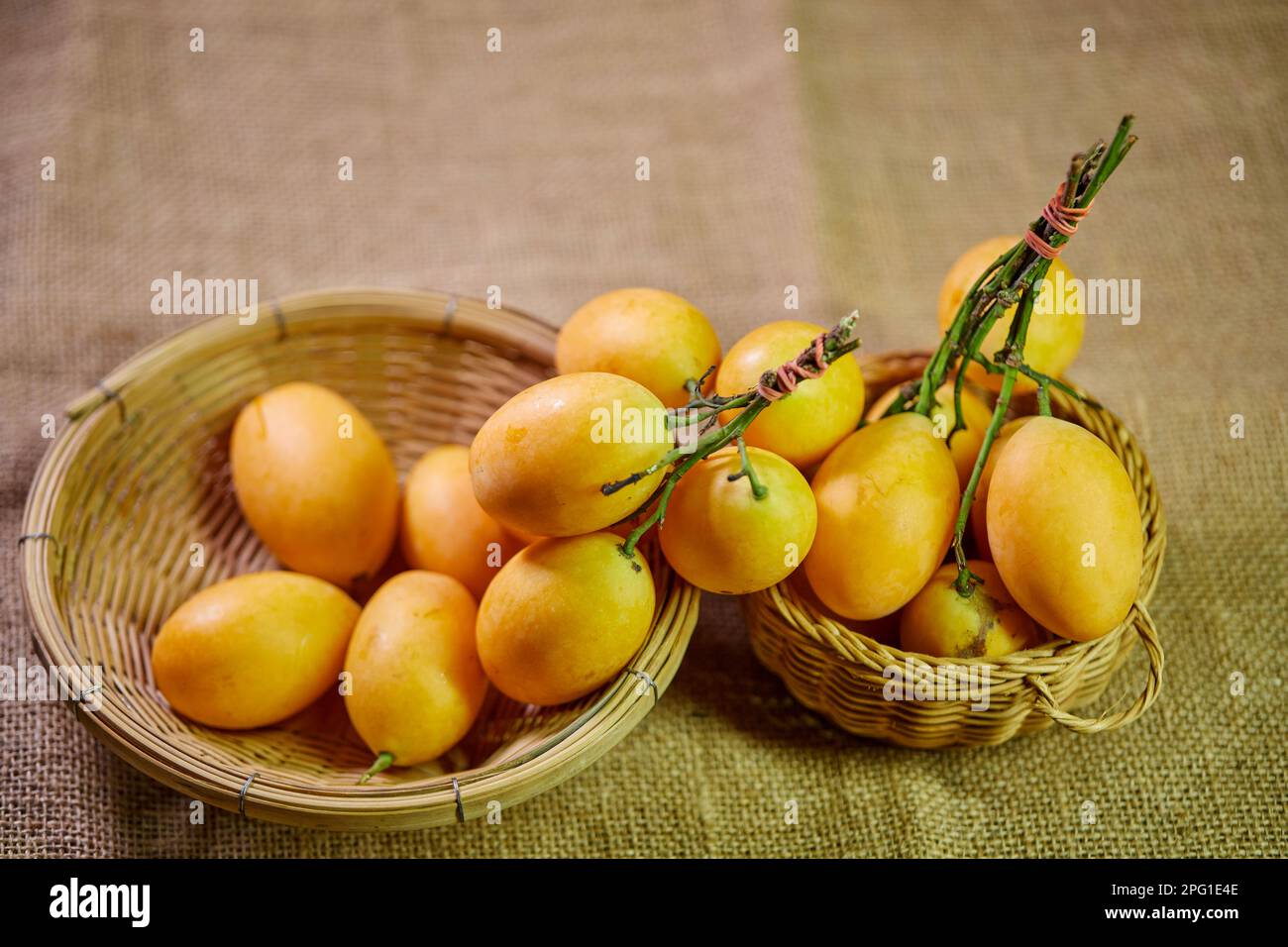 Mango Tango Plum