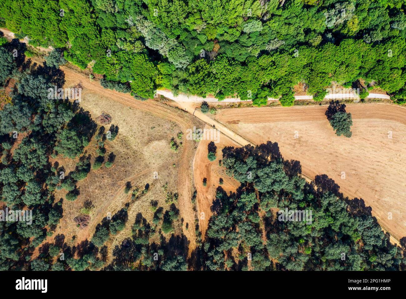 Green nature area and vegetación Isla Margaria, San Nicolas del Puerto ...