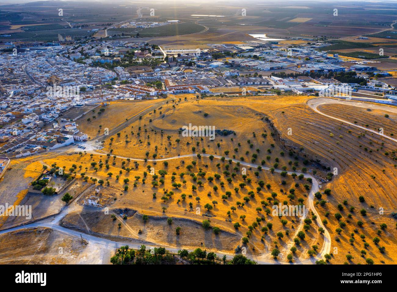 Aerial view of Osuna old town, olive trees and bullring of Osuna ...