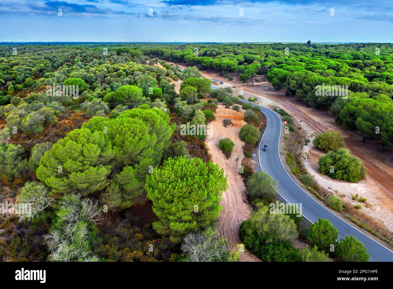 Aerial view of Dehesa de Abajo, La Puebla del Río, Donana National Park ...