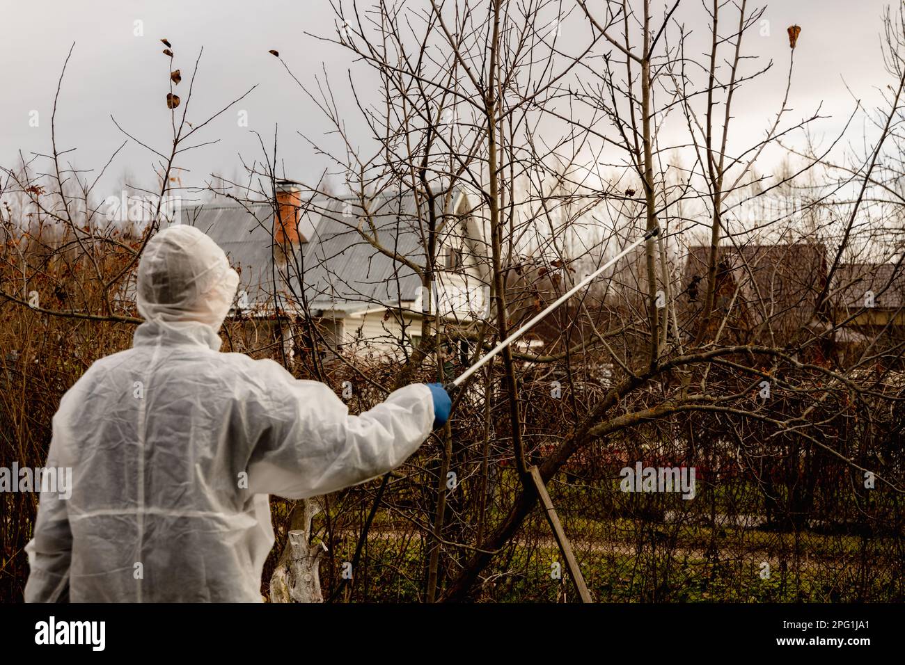 Using chemicals in the garden orchard gardener applying an insecticide ...