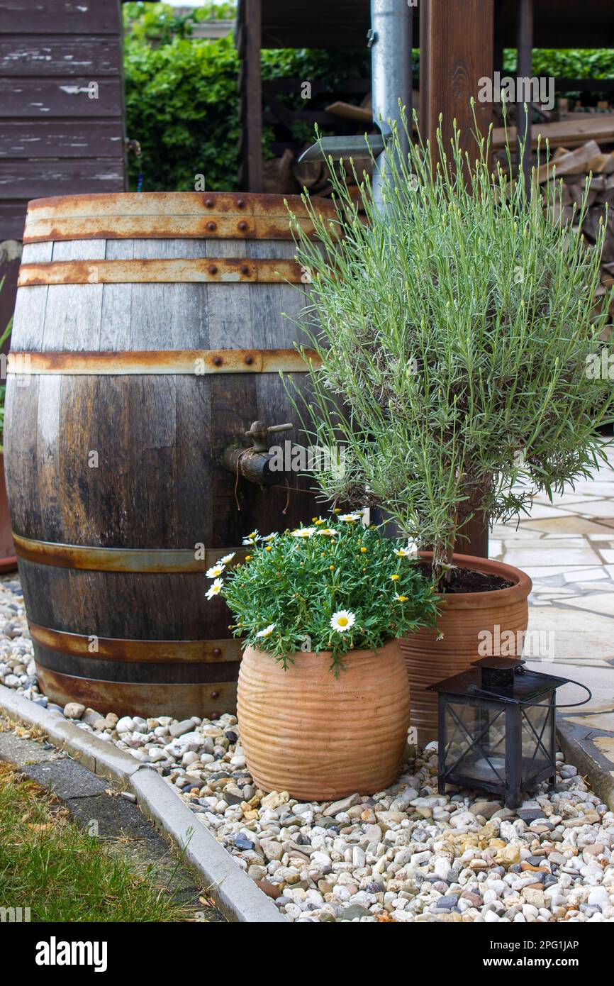 Rain barrel village hi-res stock photography and images - Alamy