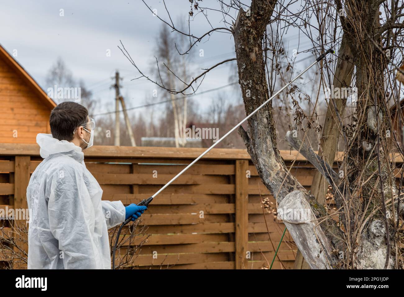 Using chemicals in the garden orchard gardener applying an insecticide ...