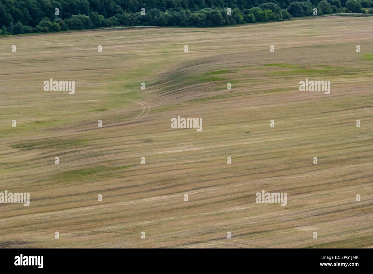 Agricultural Rolling Spring Autumn Landscape. Natural Landscape In ...