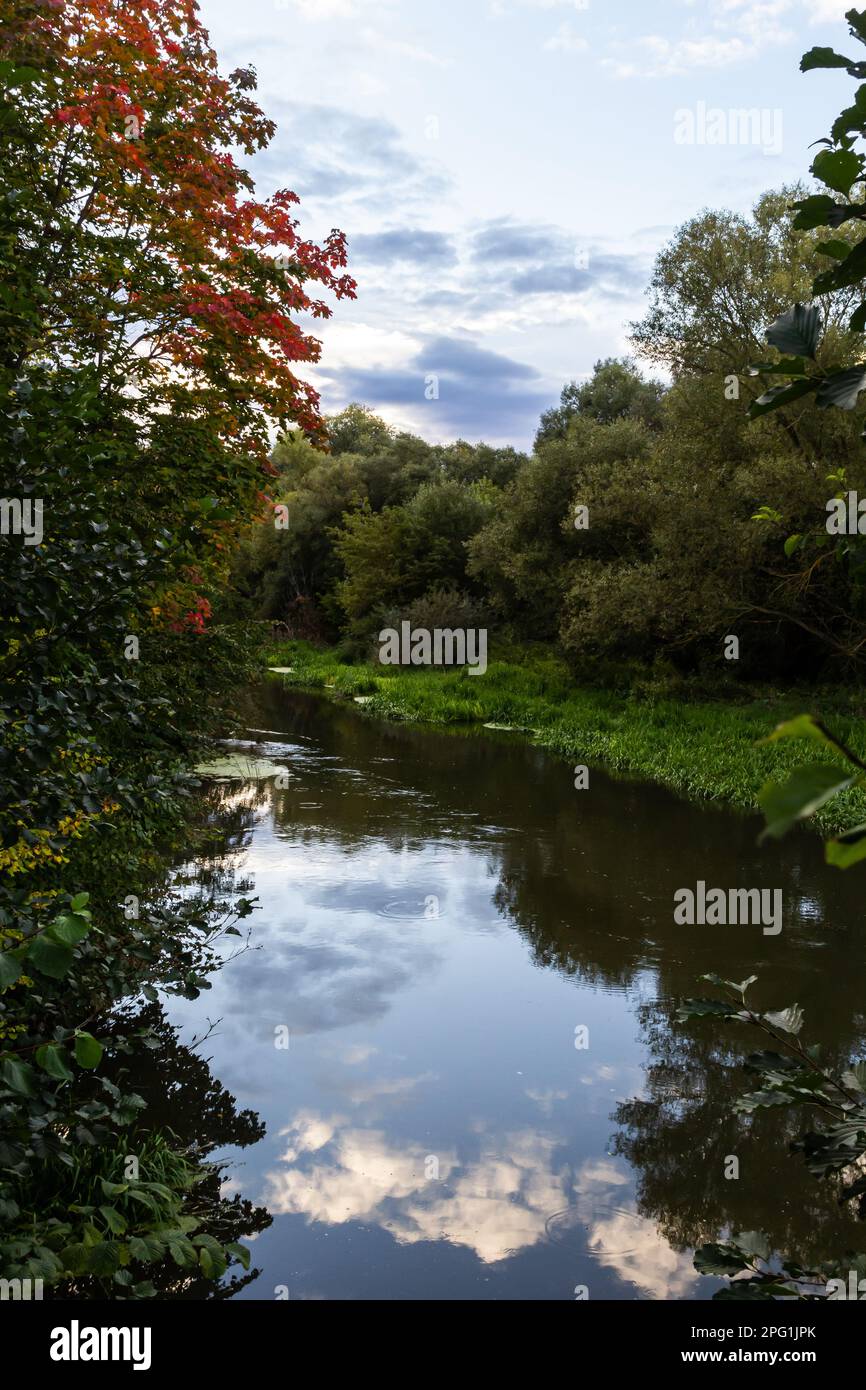 Autumn foliage is reflected in the river. Riverside environmnet of ...