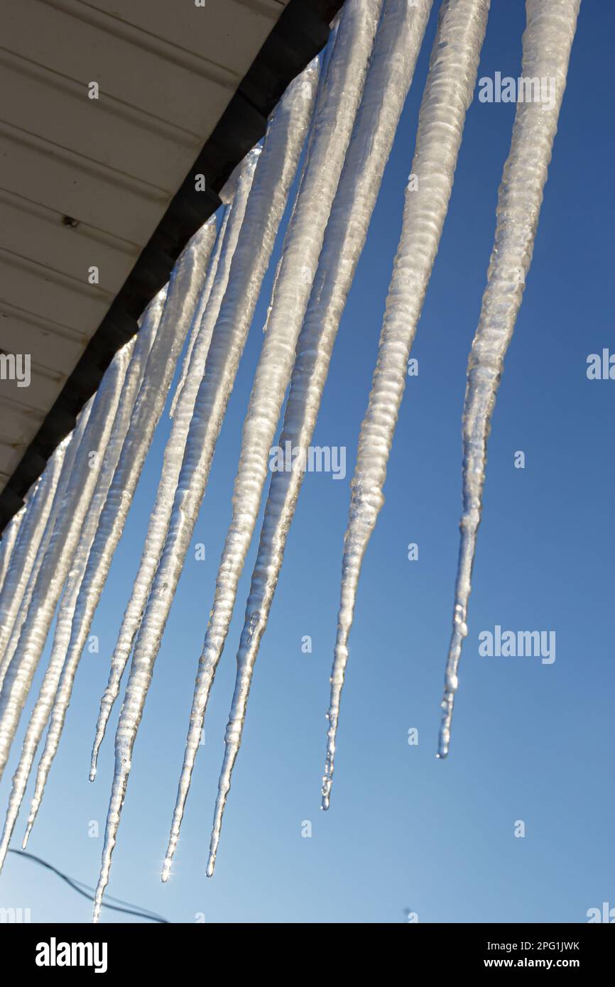 Sharp icicles and melted snow hanging from the eaves of the roof ...