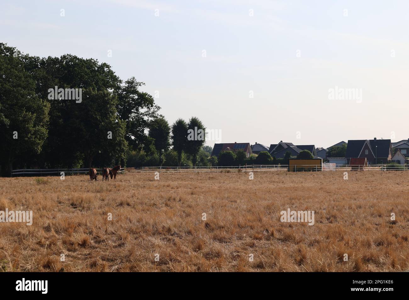 Impressionen aus der Stadt Holdorf in Niedersachsen Stock Photo - Alamy