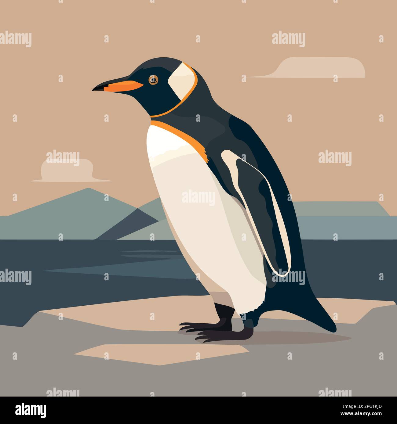 animal bird common blue penguin Minimalist vector illustration Stock ...