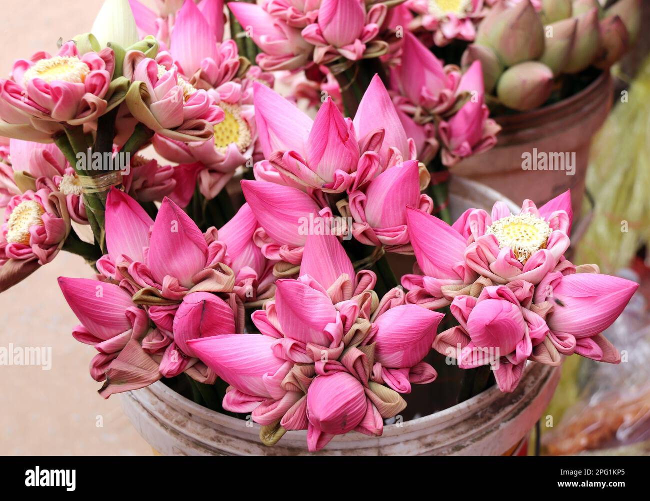 Traditional flowers offering for donation a the Buddha, Cambodia ...