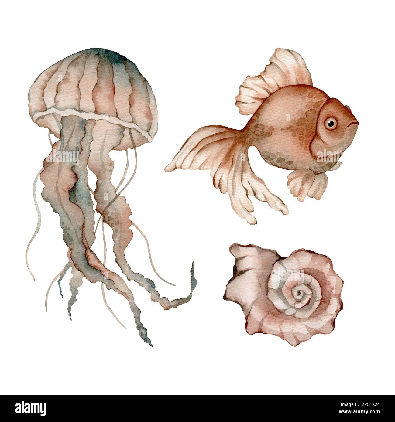 Set of sea animals poster. Blue, greeen, brown watercolor ocean ...