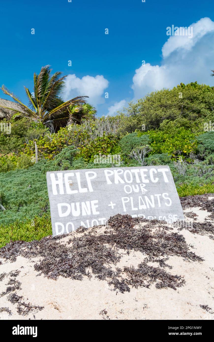 Tulum, Quintana Roo, Mexico, A sign of protection of the dune with ...