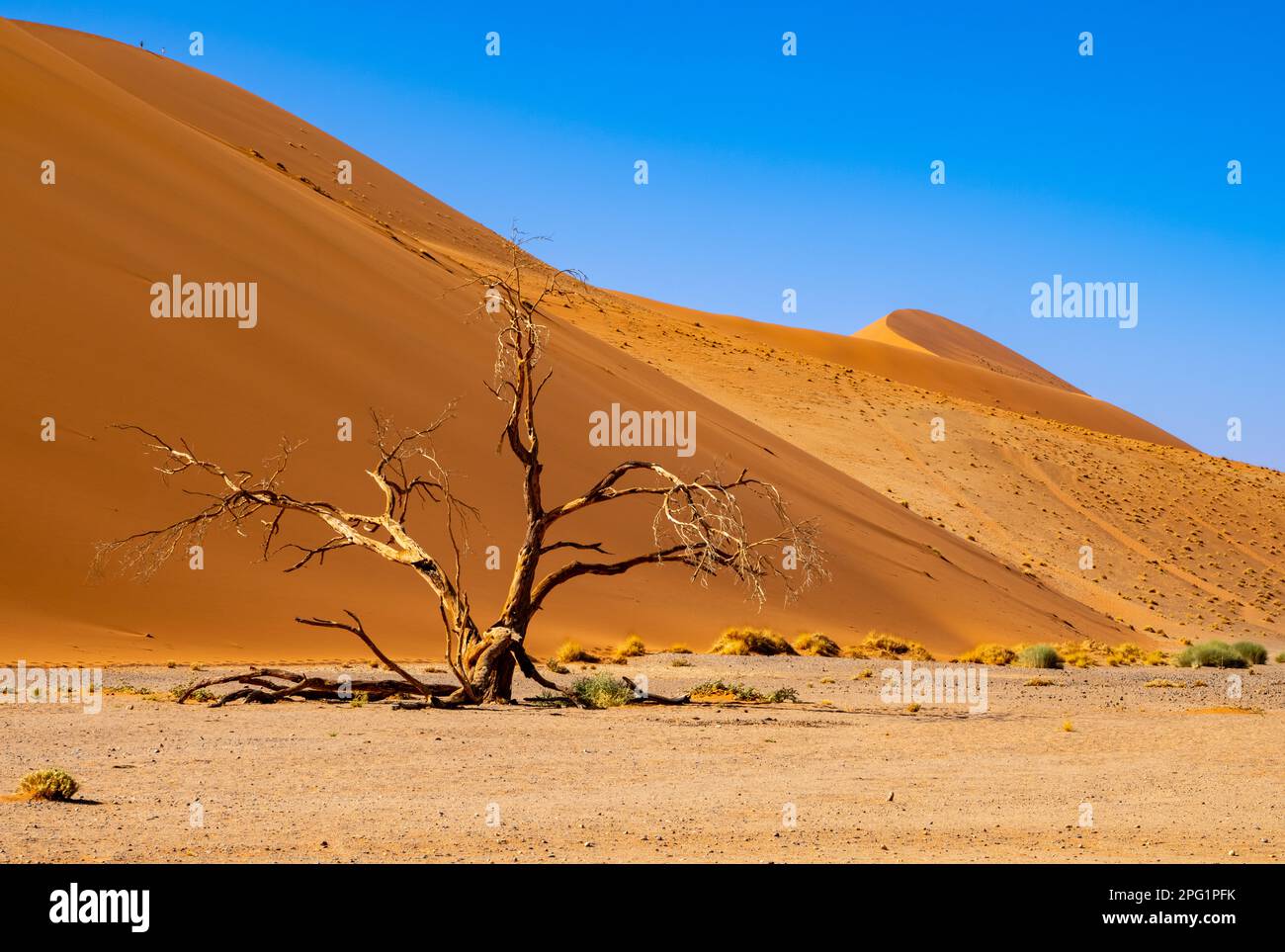 Sossusvlei, Red Sand Dunes in Namibia, located in the southern part of ...