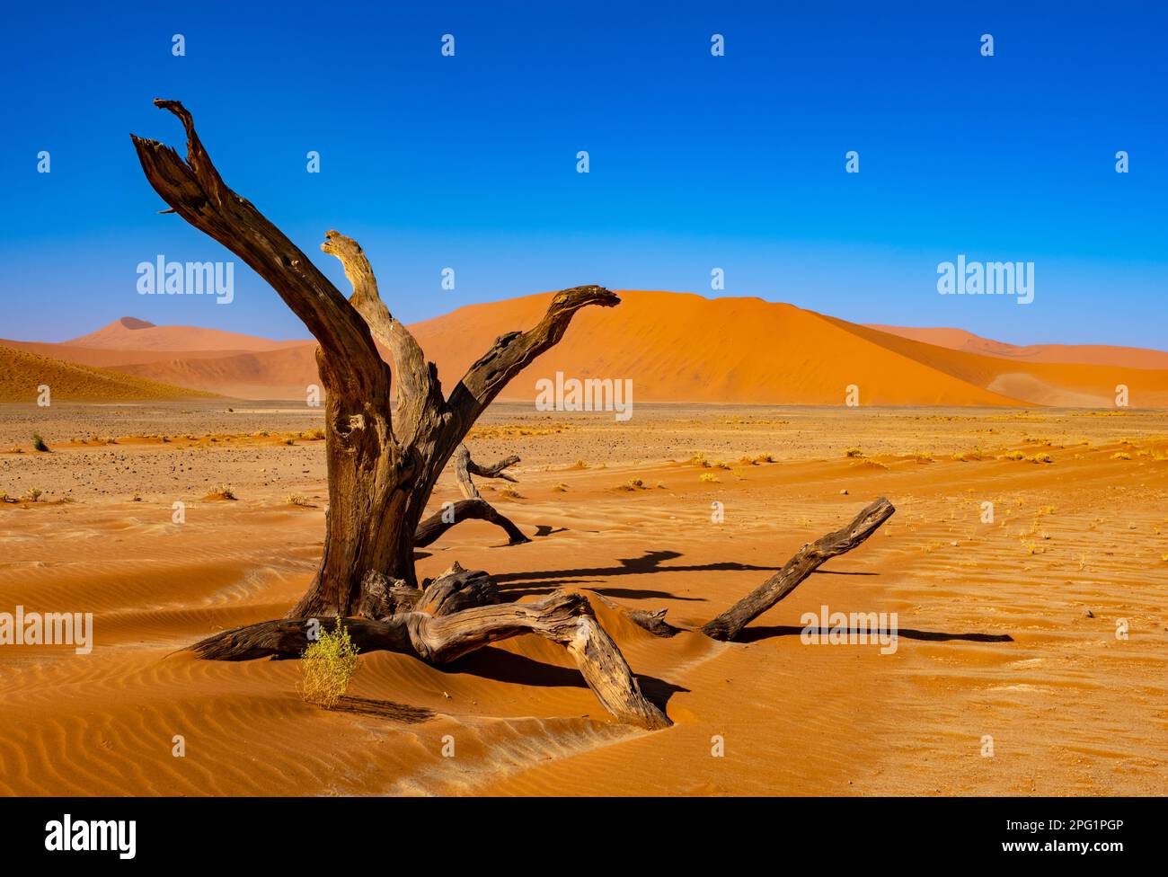 Sossusvlei, Red Sand Dunes in Namibia, located in the southern part of ...
