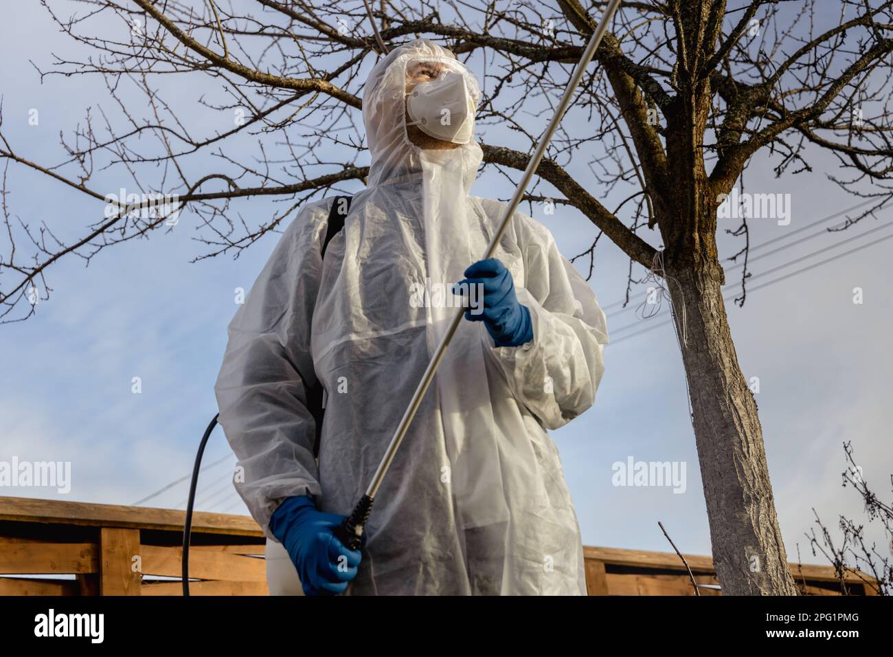 Using chemicals in the garden orchard gardener applying an insecticide ...