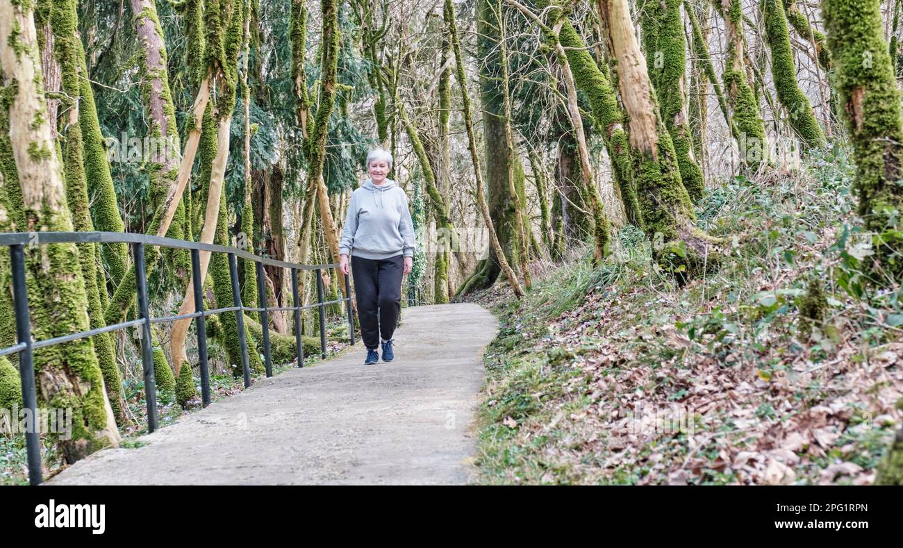 Senior woman walking along tourist trail in relic forest Stock Photo ...
