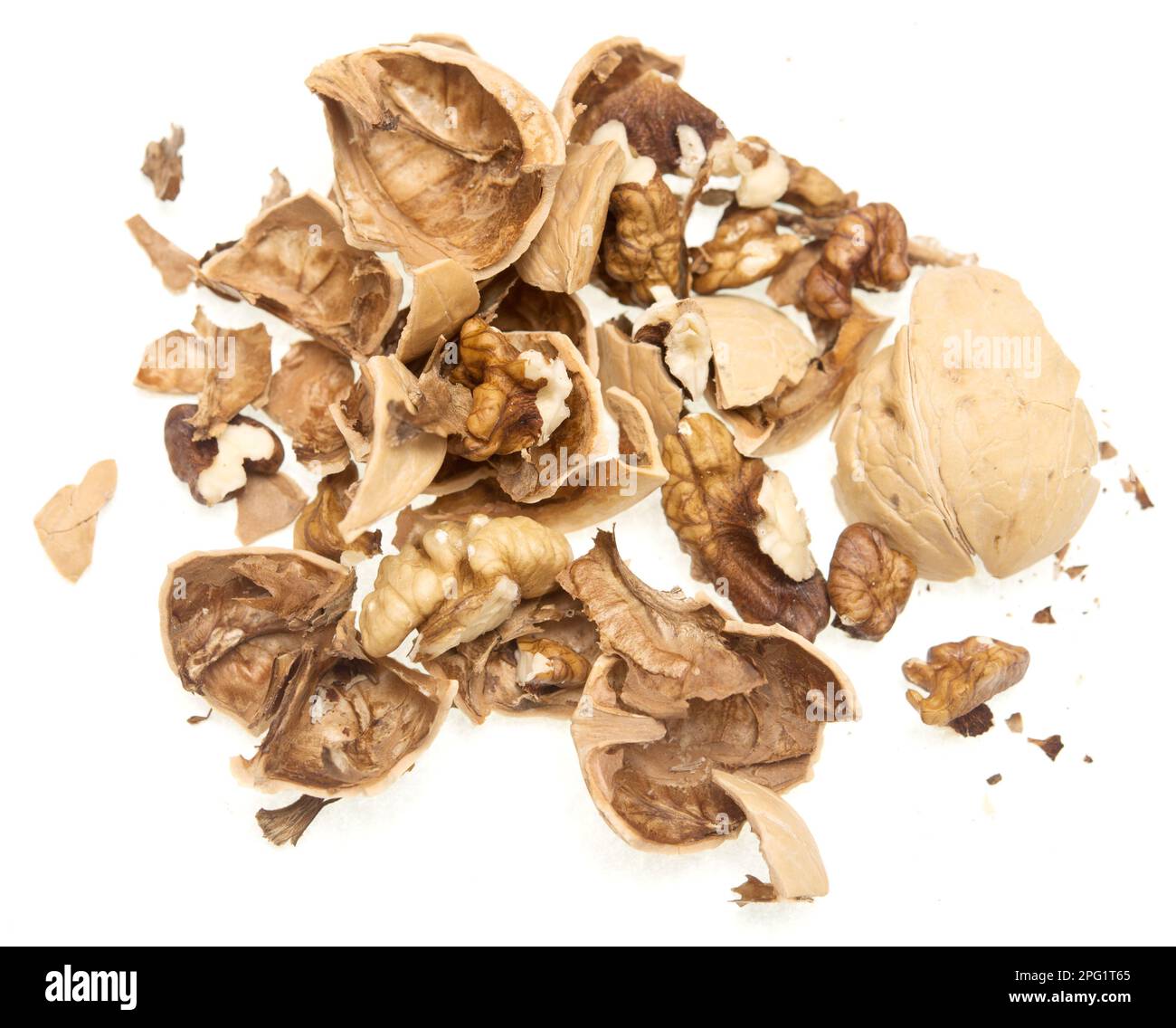 Walnut shell on white background Stock Photo - Alamy