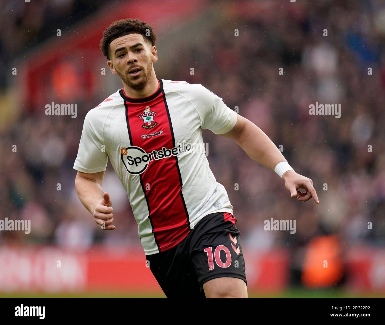 Southampton's Che Adams during the Premier League match at St Mary's ...