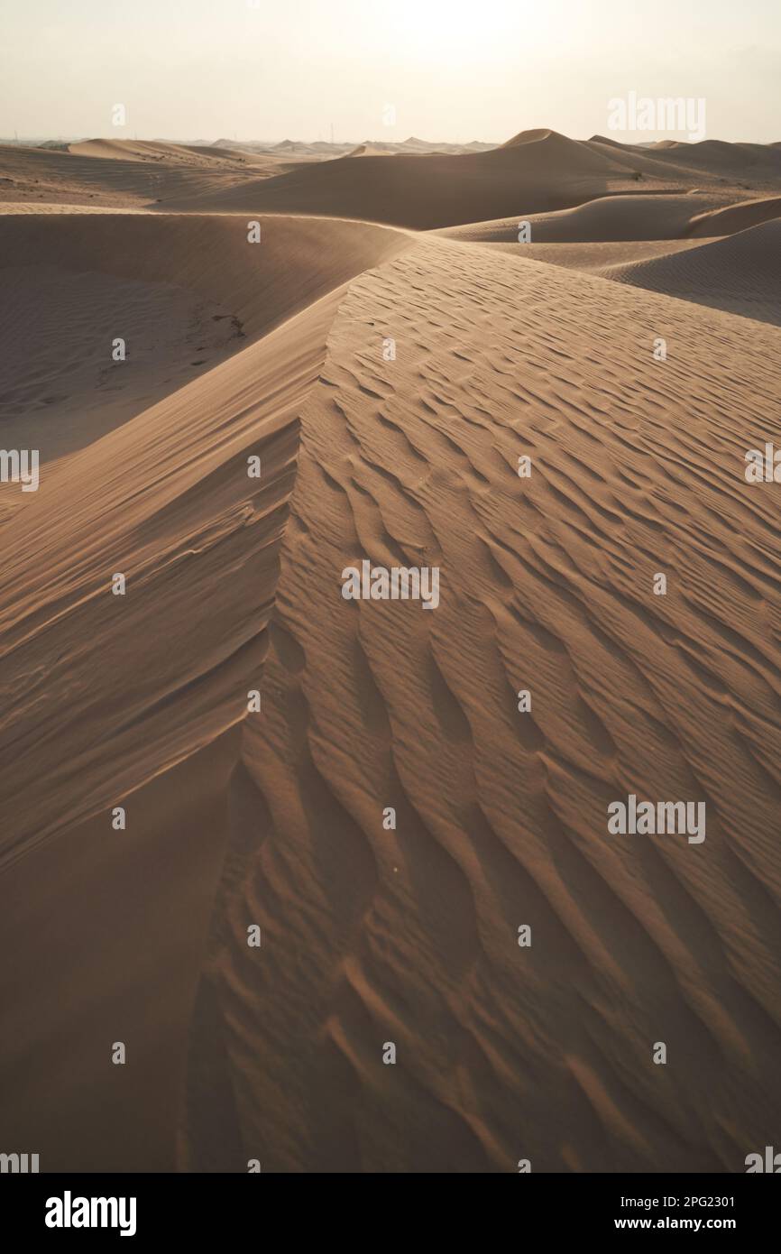 Vertical landscape with sand dunes and setting sun Stock Photo - Alamy