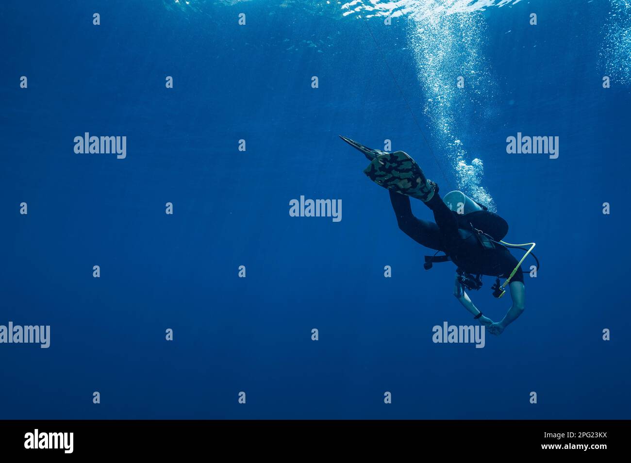 diver floating at Banda Sea during mandatory safety stop Stock Photo ...
