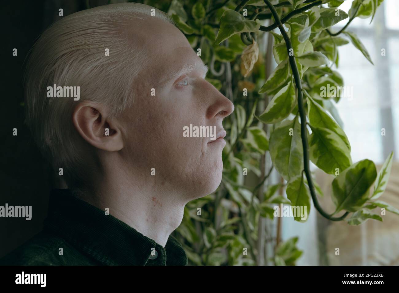 An albino guy with a green plants on a dark background Stock Photo - Alamy