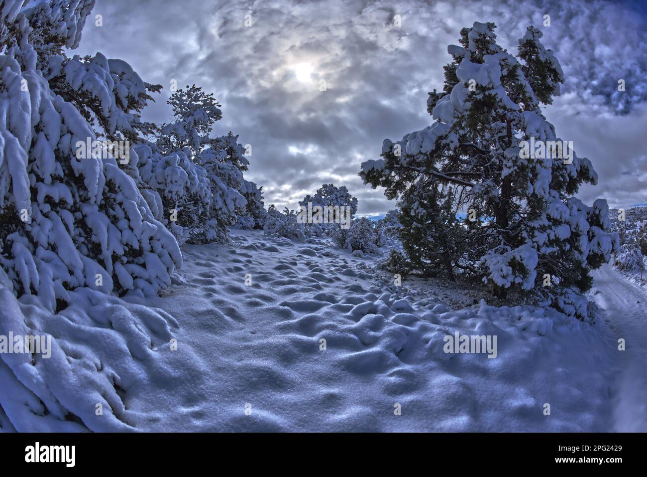 Chino Valley Arizona 2023 Winter Stock Photo - Alamy