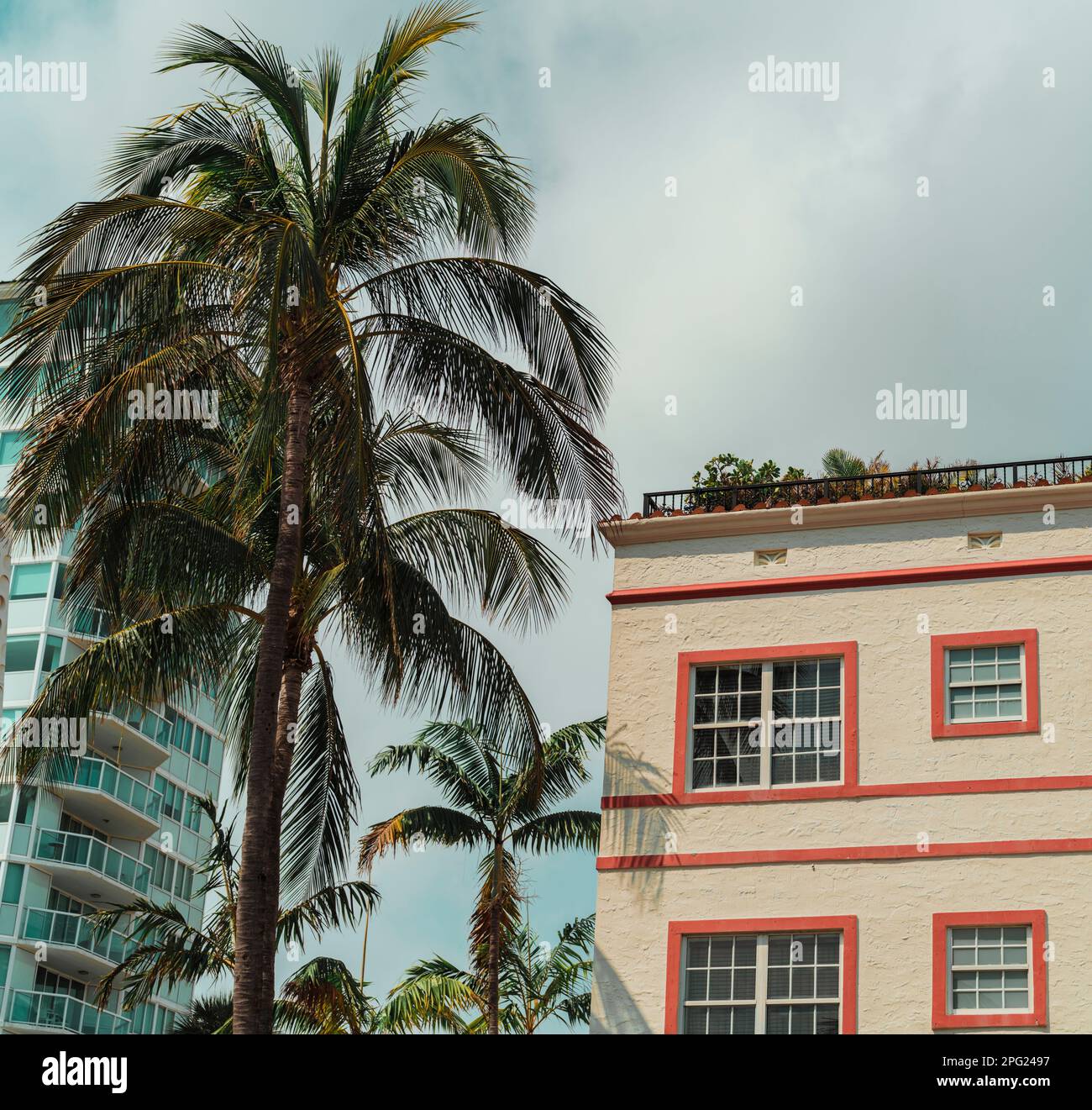 Palms and hotel in miami beach hi-res stock photography and images - Alamy