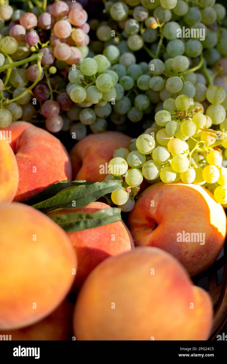 Summer peach and grape harvest Stock Photo - Alamy