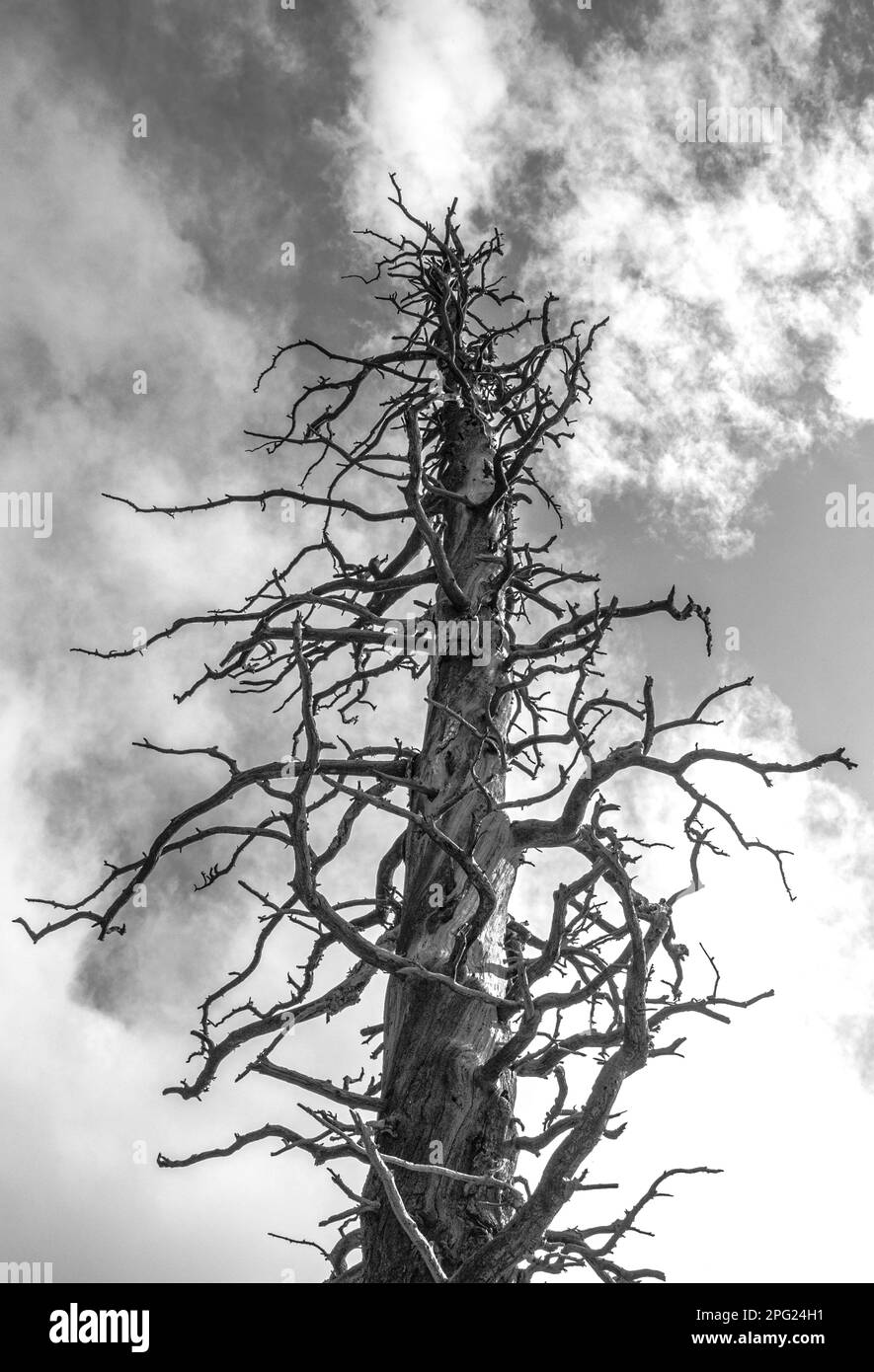 State parks of colorado Black and White Stock Photos & Images - Alamy