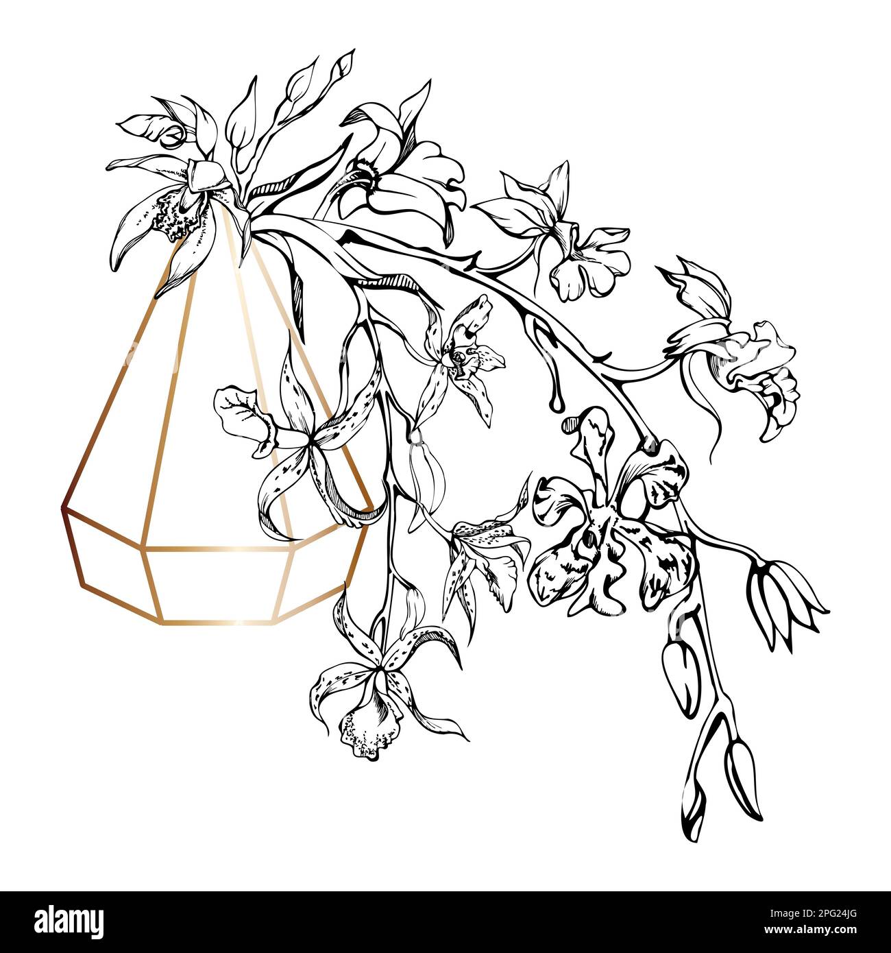 Hand drawn vector ink orchid flowers and branches, monochrome, detailed ...