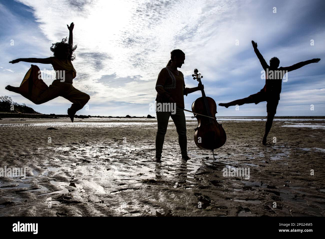 silhouetted dancers and cellist on Cape Cod beach Stock Photo - Alamy