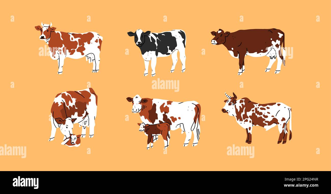 Hand drawn abstract vector clipart illustration collection set with ...