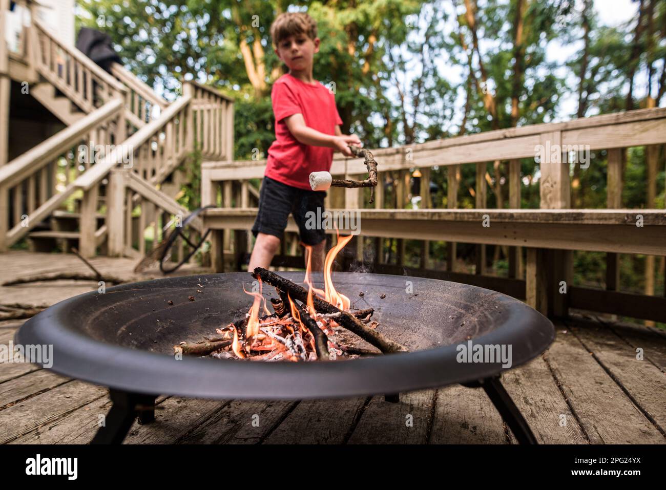 Boy holds marshmallow on a stick over firepit Stock Photo - Alamy
