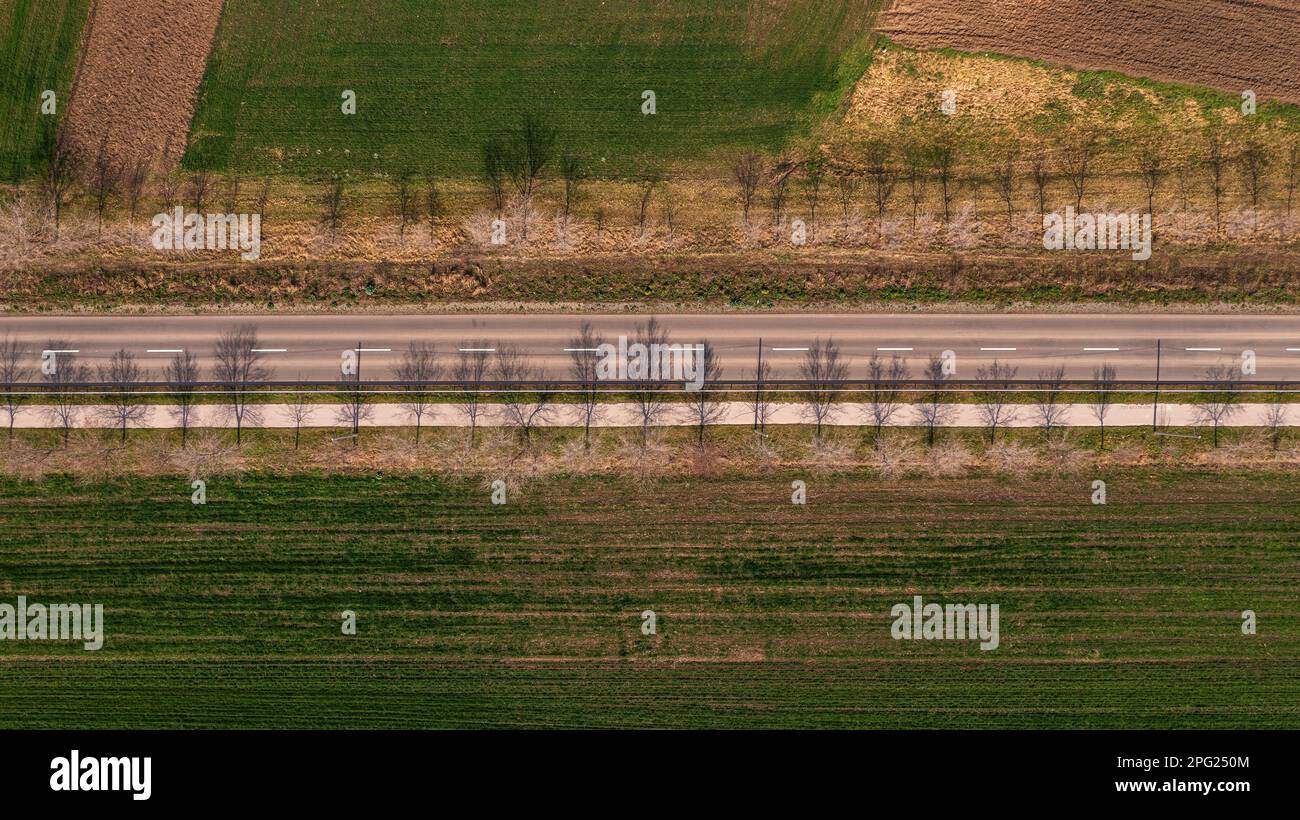 Top view aerial shot of straight road through countryside landscape with treeline casting shadow ...