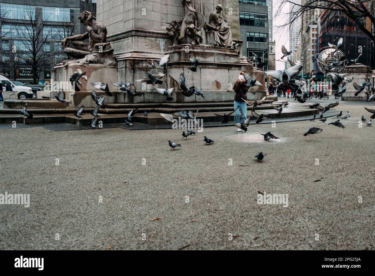 Pigeons at park hi-res stock photography and images - Alamy