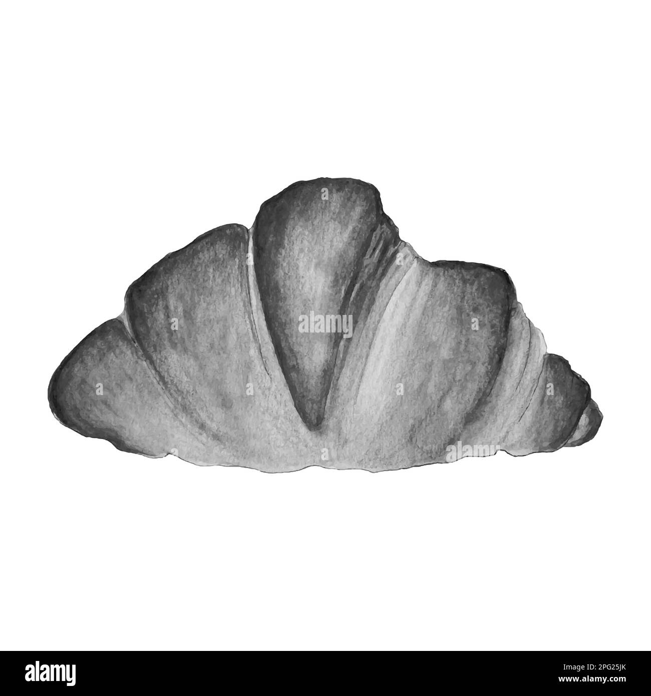 Croissant watercolor monochrome stylized, hand drawn sketch. Vector ...