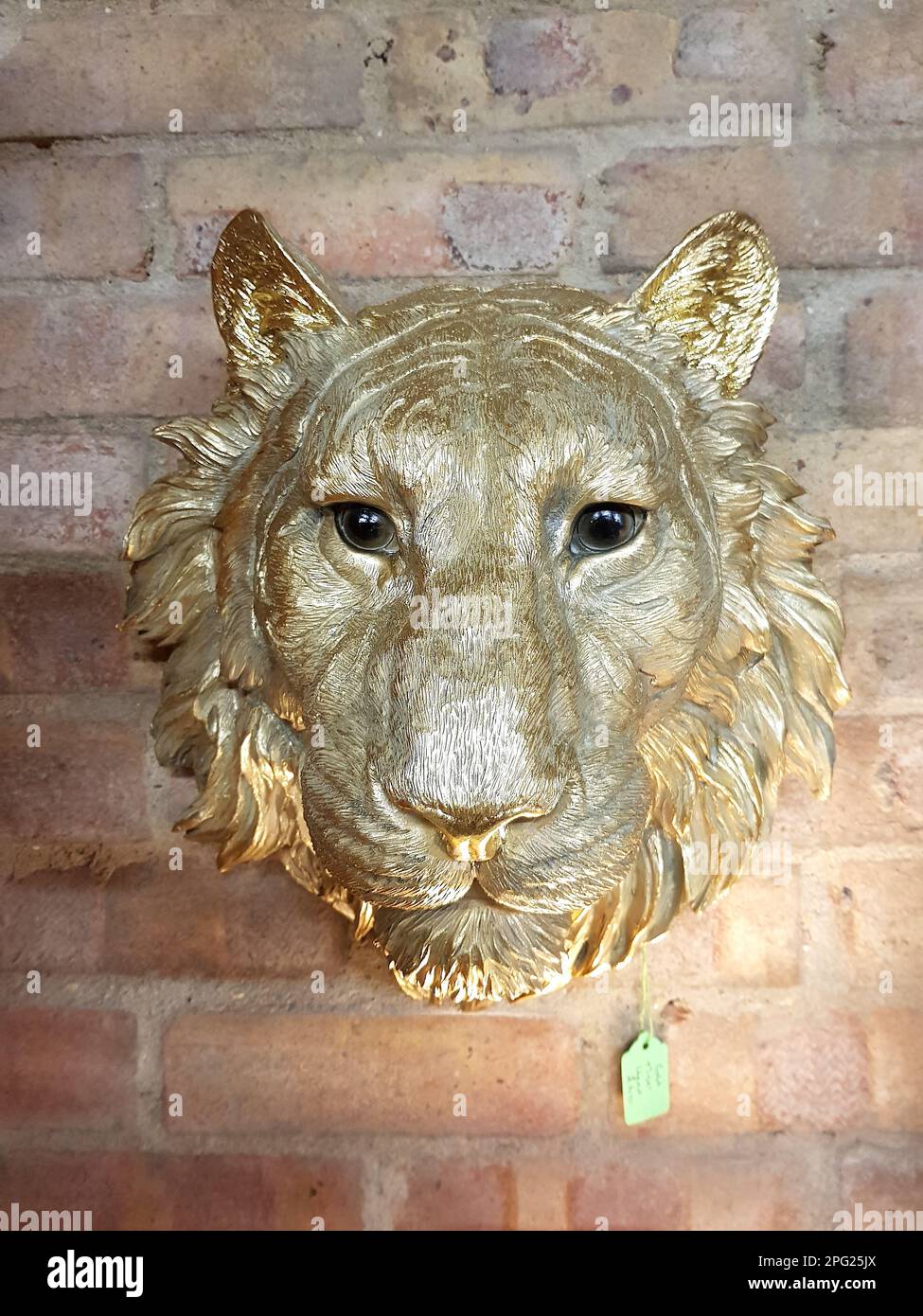A vintage gold effect lion's head set on an old brick wall Stock Photo ...