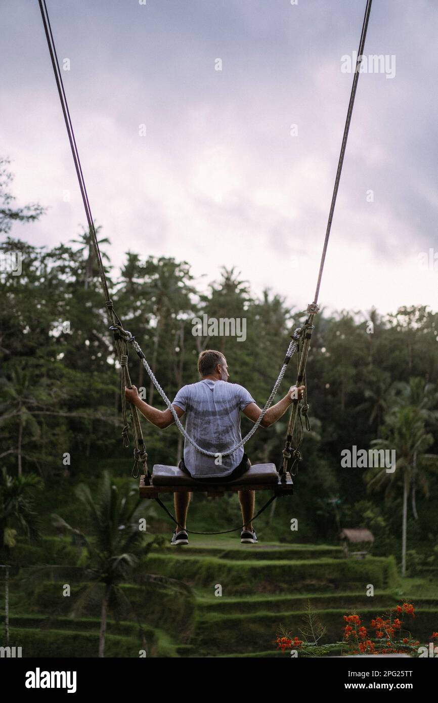 Traveler man on a swing in the rice terraces of Tegalalang, Bali Stock ...