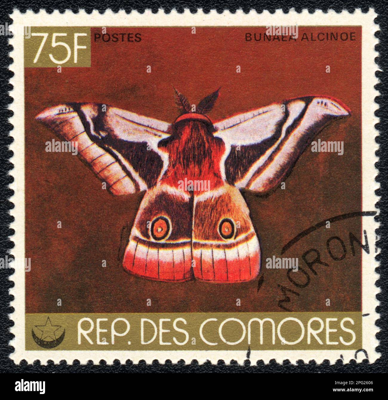 A stamp printed in REP.COMORES shows colorful image of a butterfly ...
