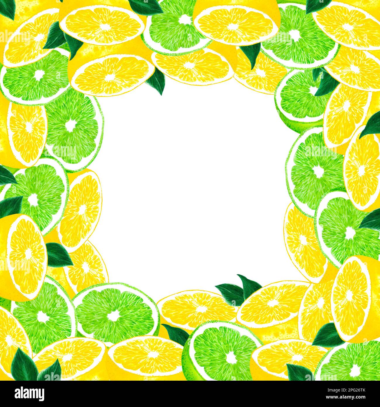 Hand drawn watercolor lemon lime with lemon flower and leaves frame ...