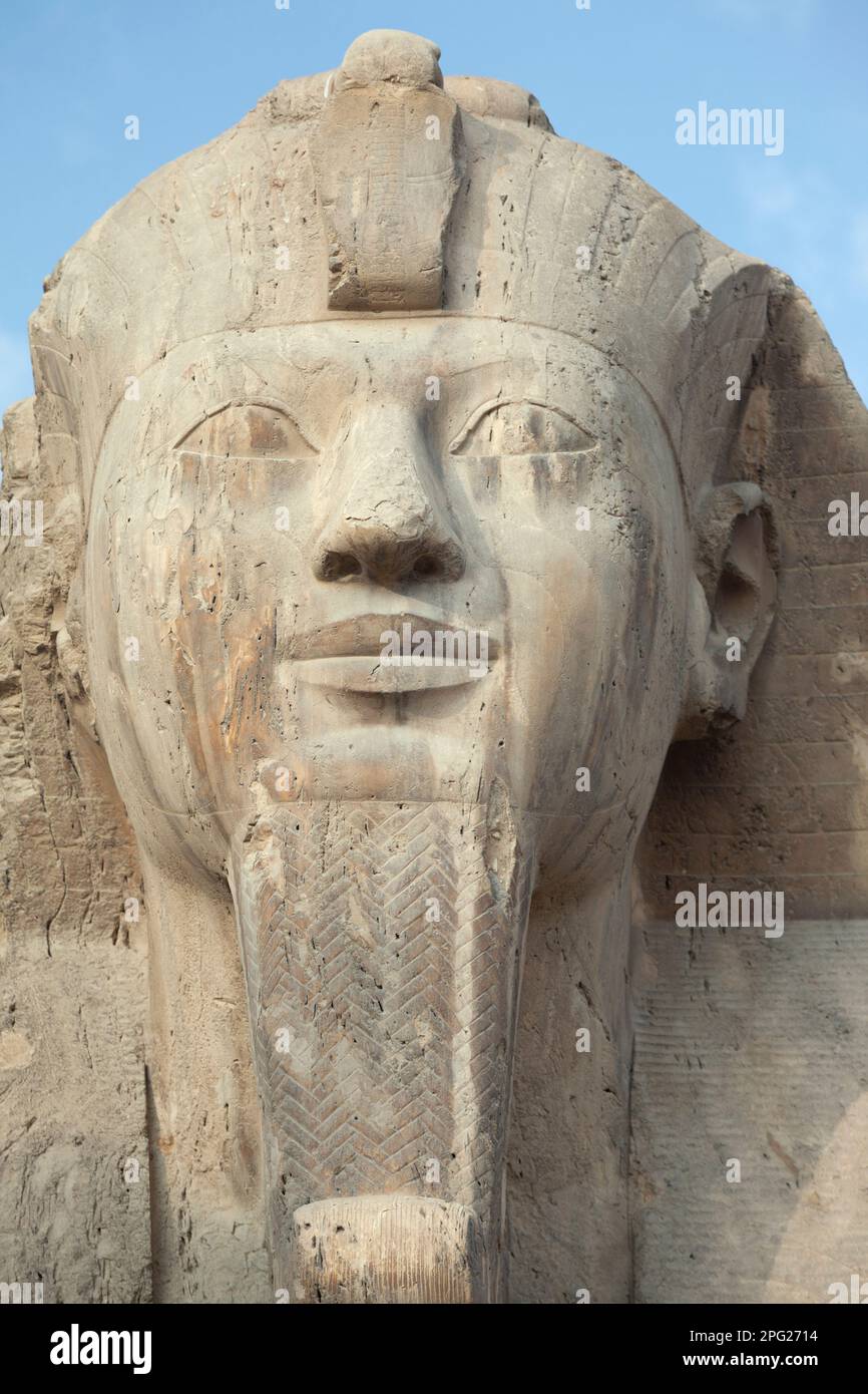 Egypt, Memphis, the Sphinx of Memphis statue at the Memphis museum ...